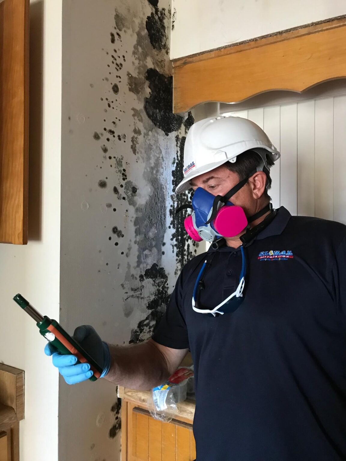 Mold - Global Restoration Georgia